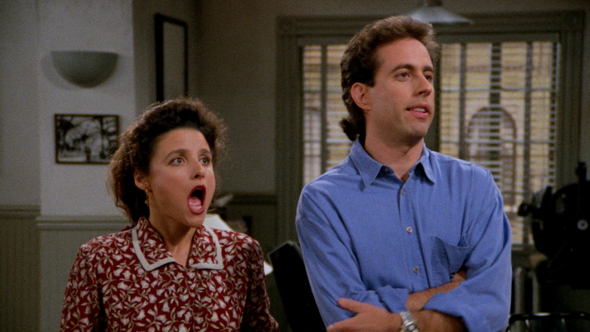 Seinfeld Big Dog Shirt at Jackie Roberts blog