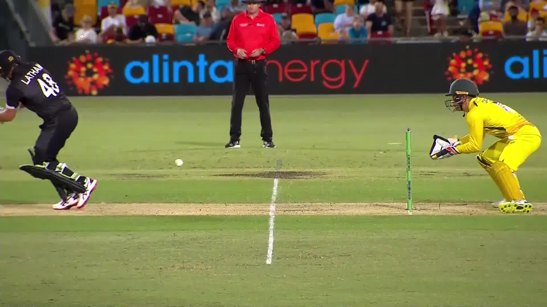 Watch Wicket! Quick Glove Work By Carey Dismisses Latham from New ...