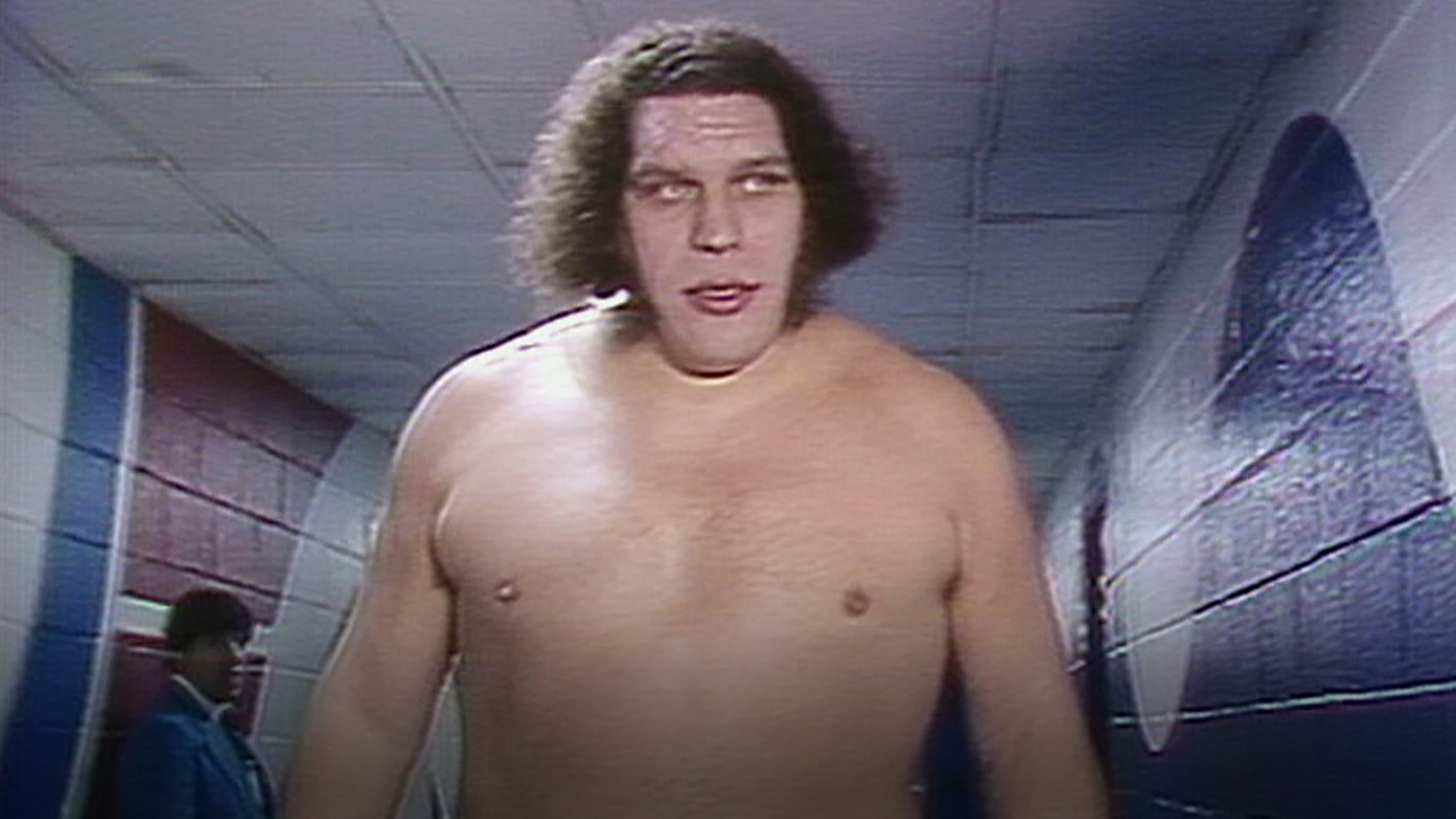 Watch Madison Square Garden - 2/20/1984 - 20th February 1984 Full Match ...