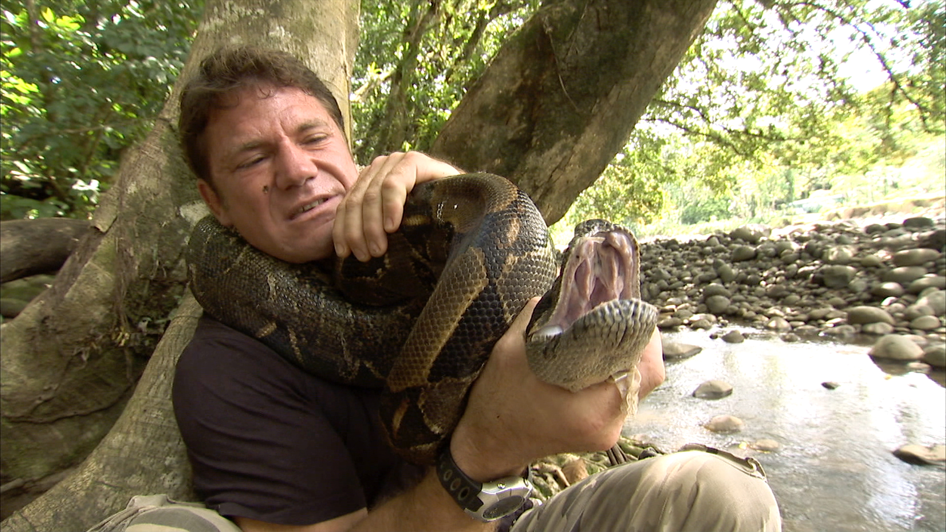 Watch Deadly 60 on a Mission Episode No 05 Online - Mexico - SonyLIV