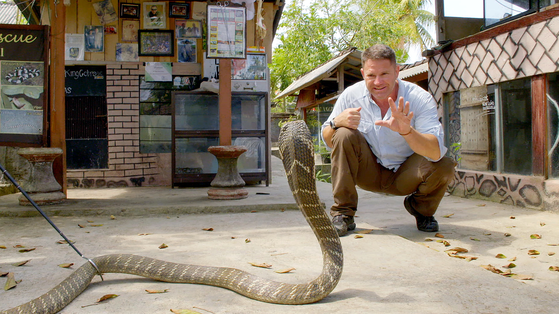 Watch Deadly 60 Episode No. 11 TV Series Online - Unseen - SonyLIV