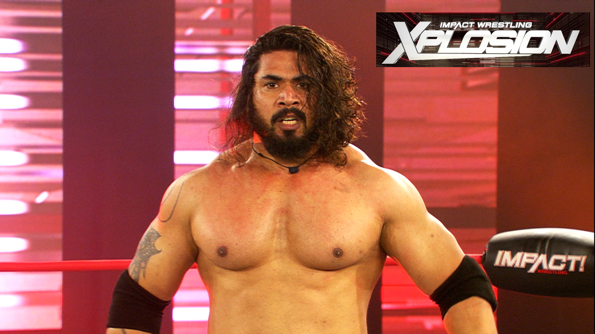 Watch Tna Xplosion Live Streaming Only On Sonyliv