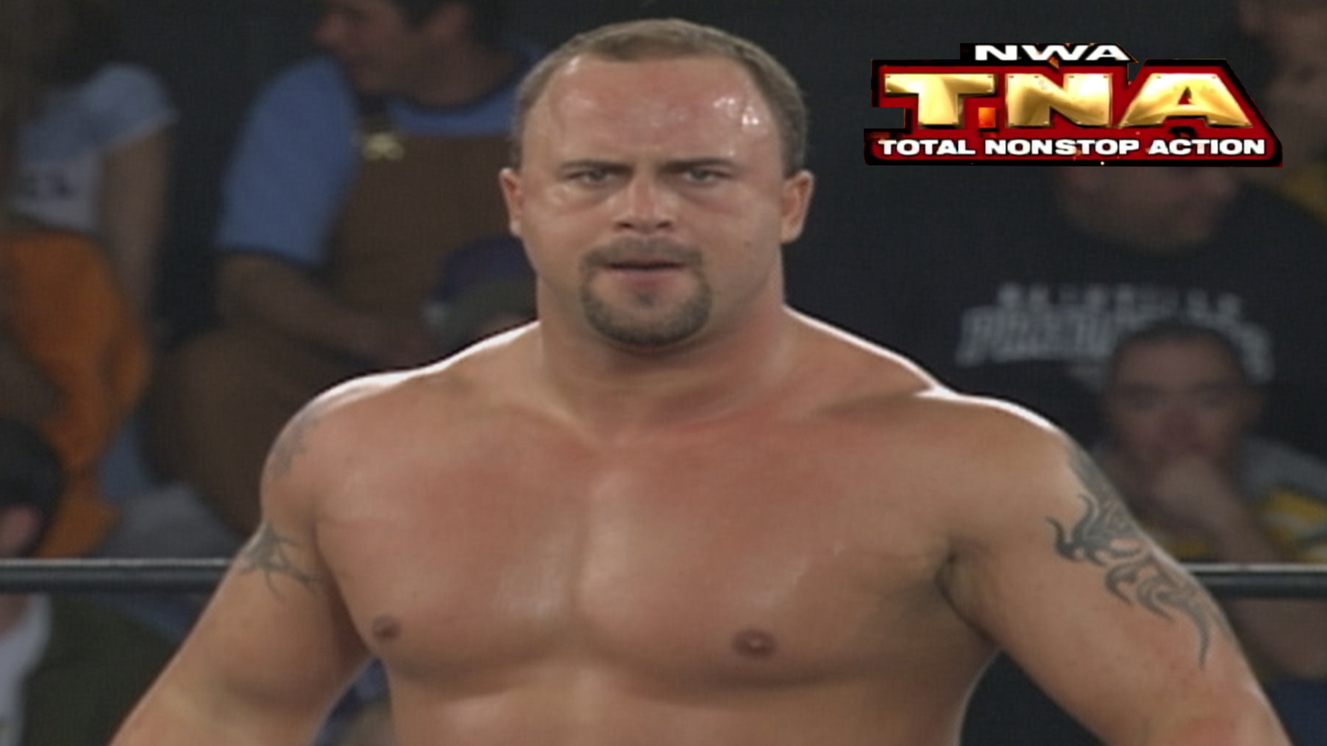 Watch TNA Asylum Live Streaming only on SonyLIV