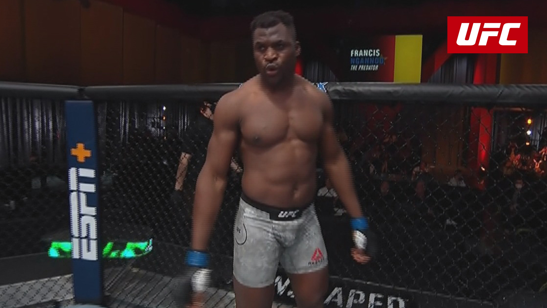 Watch UFC 260: Miocic vs Ngannou 2 Live Streaming only on SonyLIV