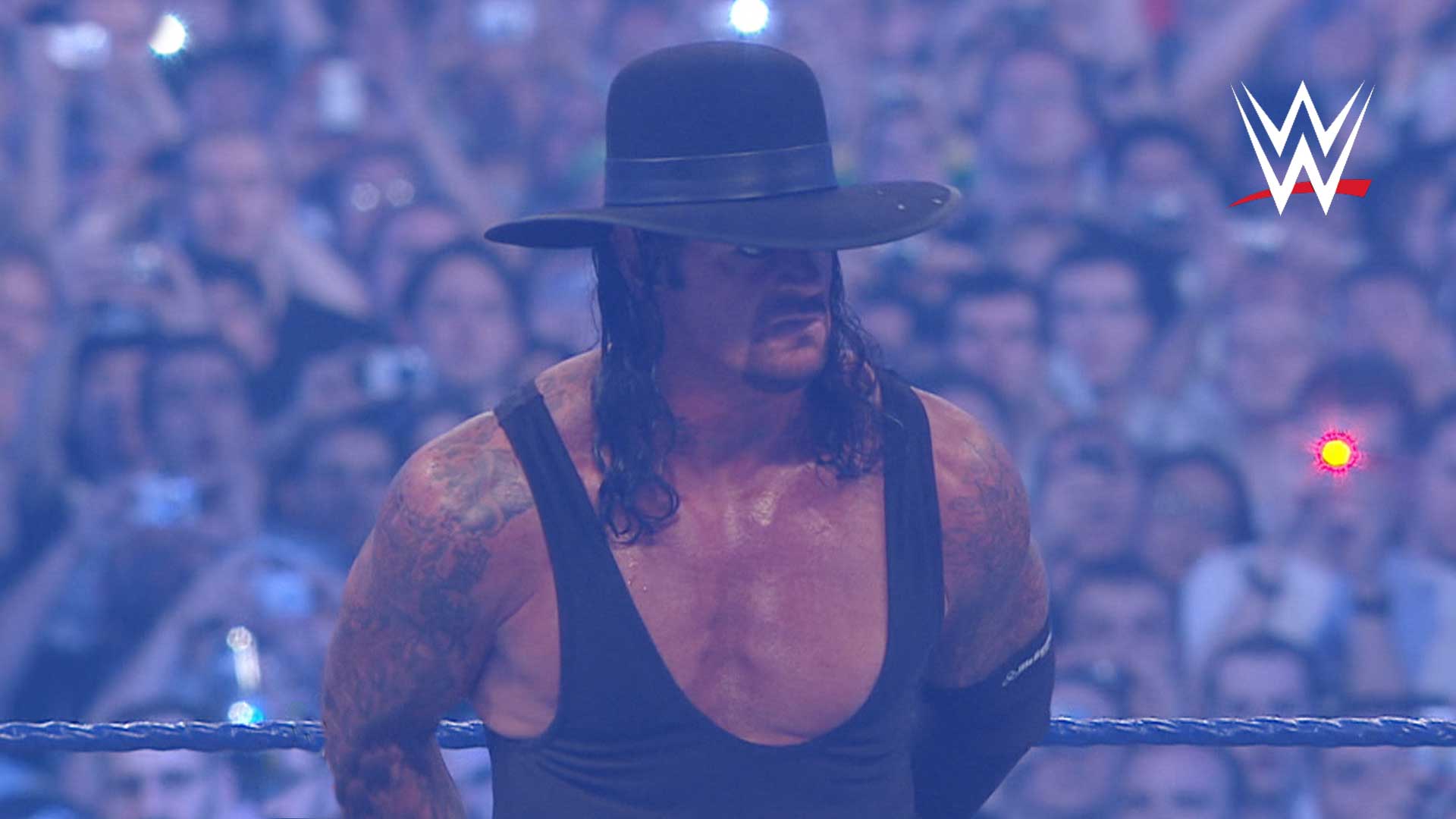 Watch WWE 30 years of the Undertaker Live Streaming only on SonyLIV