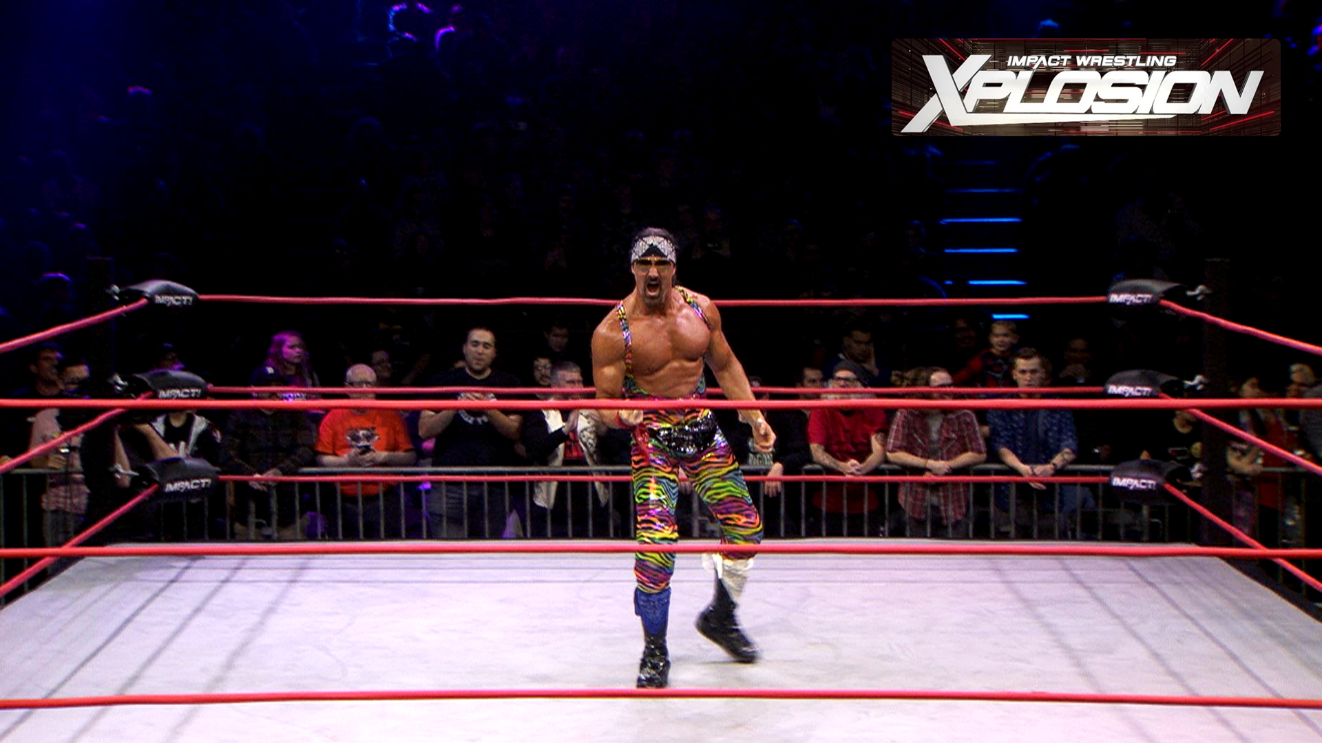 Watch TNA Xplosion Live Streaming only on SonyLIV