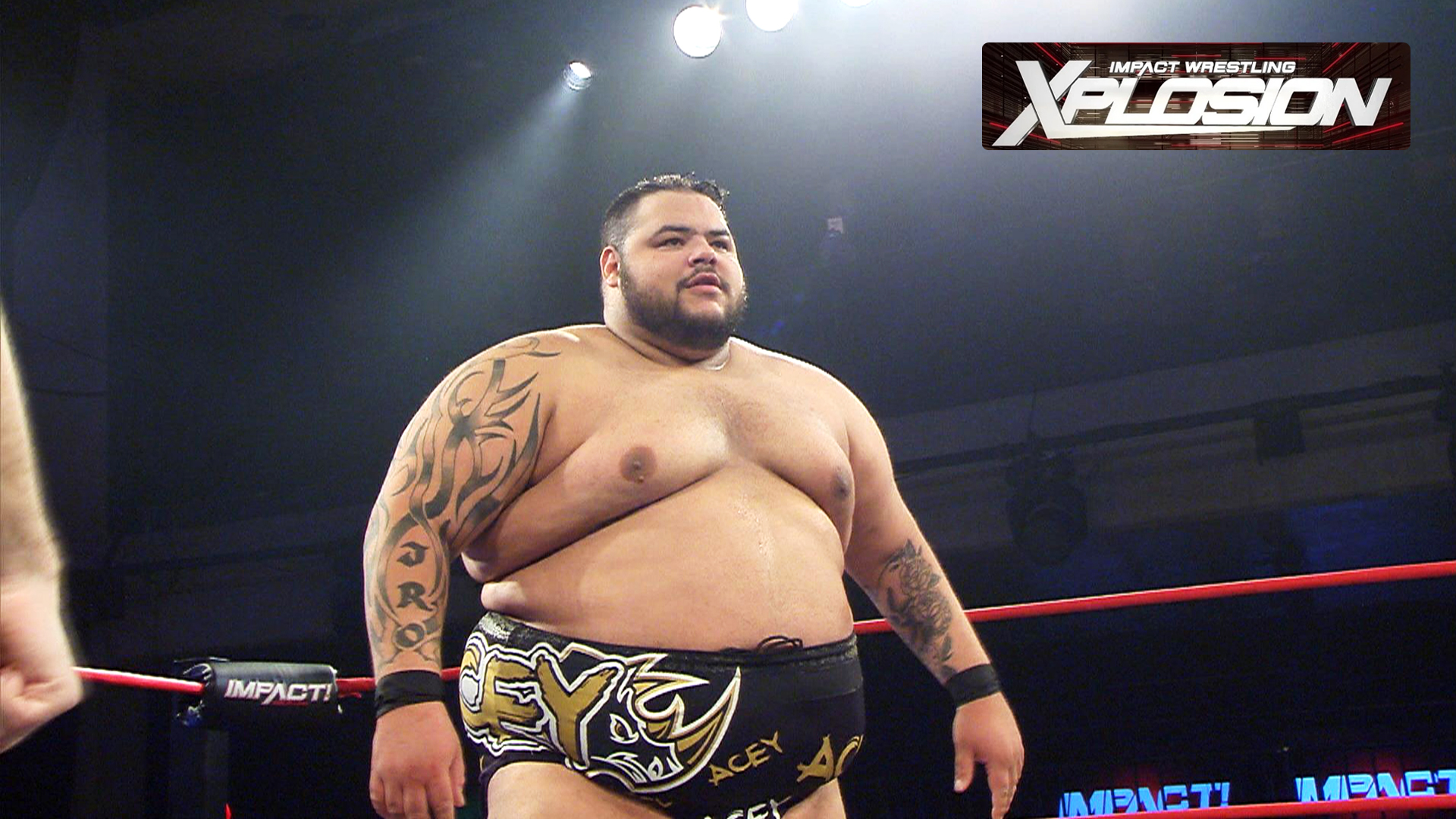 Watch TNA Xplosion Live Streaming only on SonyLIV