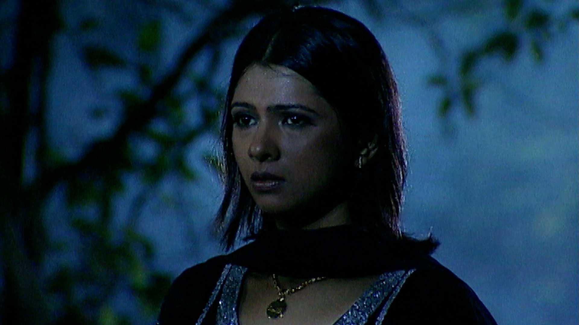 Aashka Goradia And Rahil Azam