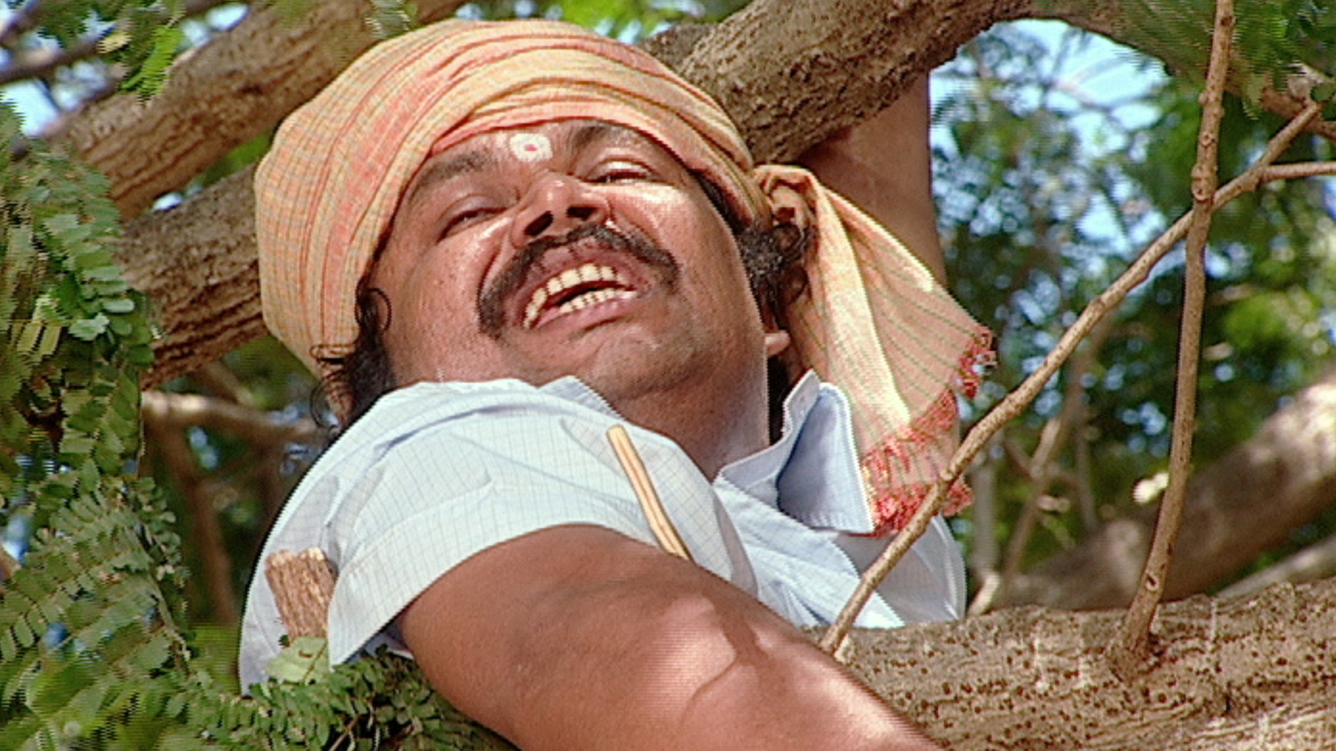 Watch Chidiya Ghar Episode no. 108 TV Series Online - The Animals In ...