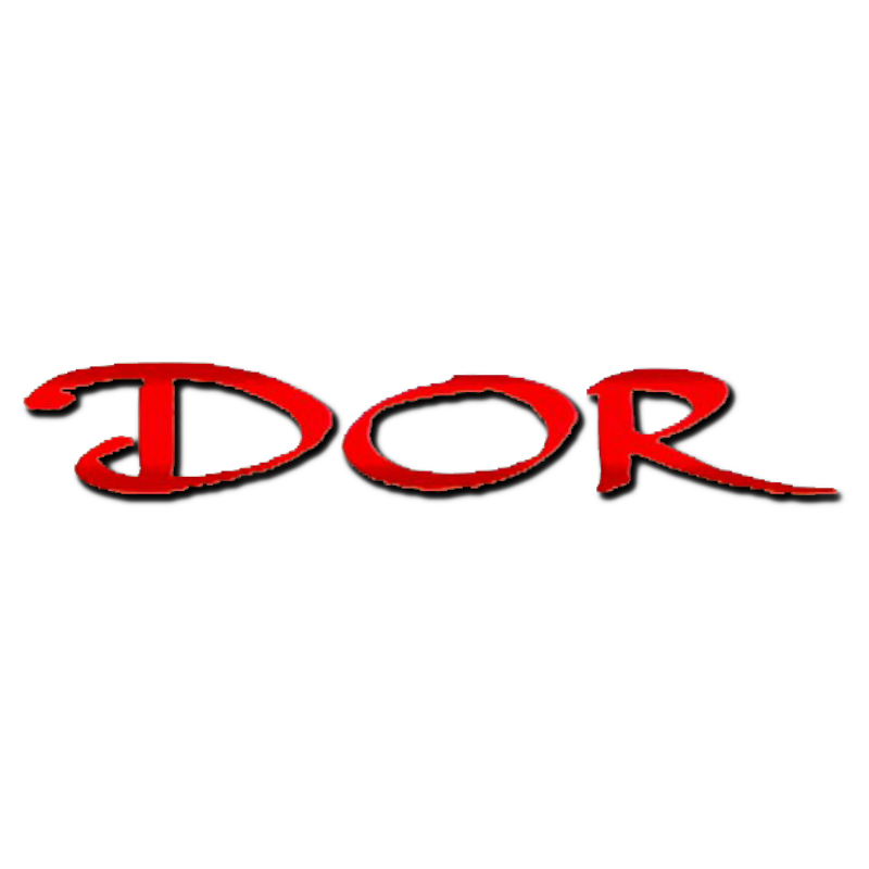 Watch Dor Full Movie in HD Online in Hindi HD - SonyLIV