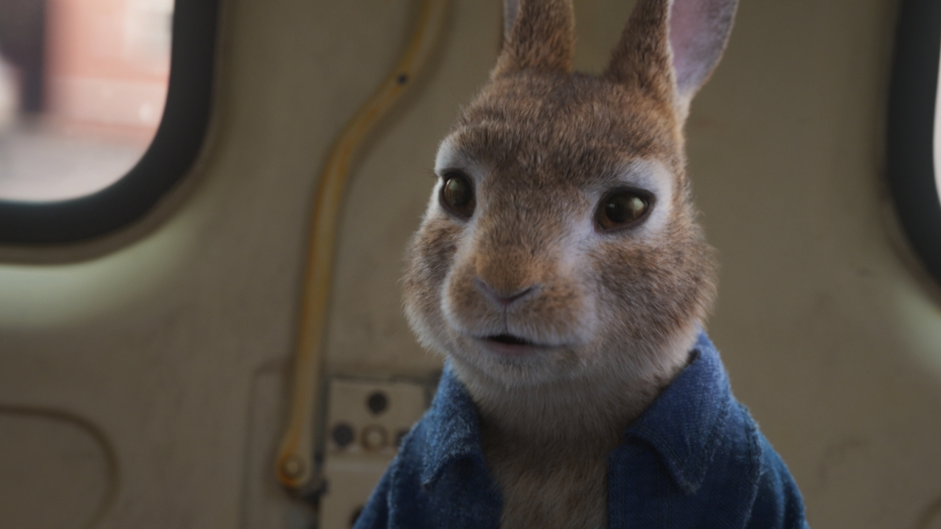 Watch Peter Rabbit 2 - The Runaway Trailer 3 Online - Sony LIV